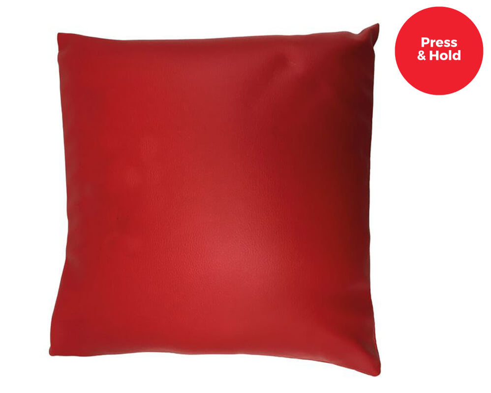 Switch Adapted - Vibrating Pillow - Inclusive Technology
